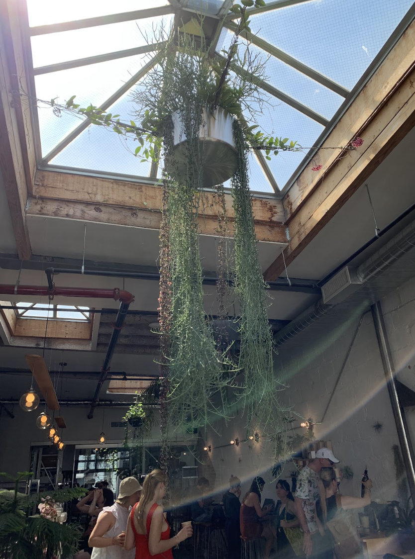 “Try it Without Sugar First” | Bushwick Daily