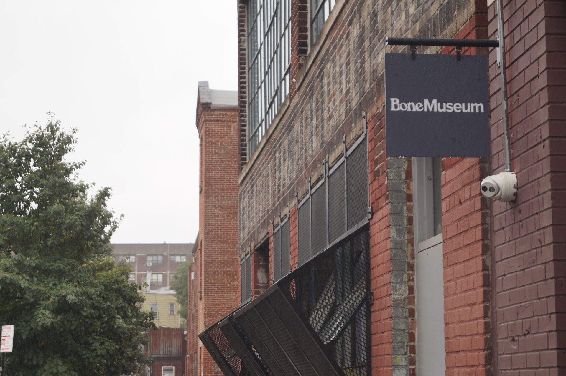 There’s Bones In Bushwick, And He's Got Them | Bushwick Daily